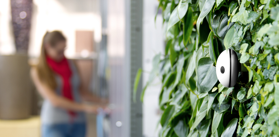 Tecnología para que tus plantas no se mueran | Teknófilo Tecnología para que tus plantas no se mueran | Teknófilo